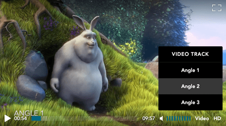 Video Track Selection